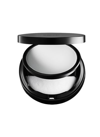 PERFECT OIL CONTROL PRESSED POWDER